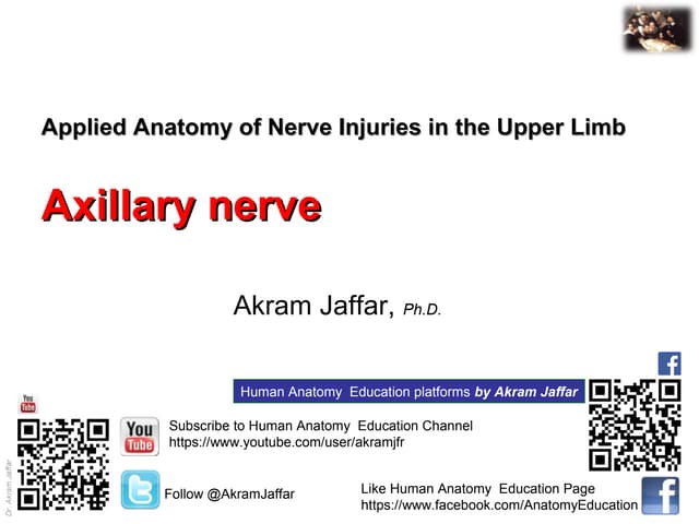 axillary 3.axillary nerve , axillary nerve | PPTX