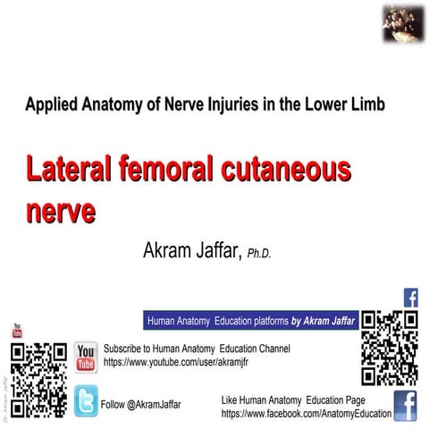Applied anatomy lateral femoral cutaneous nerve injury | PPT