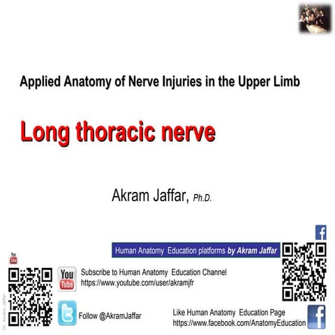 Applied anatomy long thoracic nerve injury | PPT