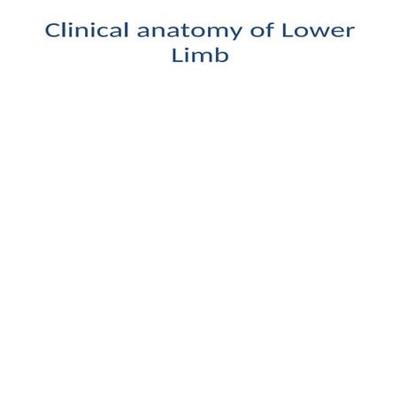 aApplied anatomy in lower limb plus .ppt
