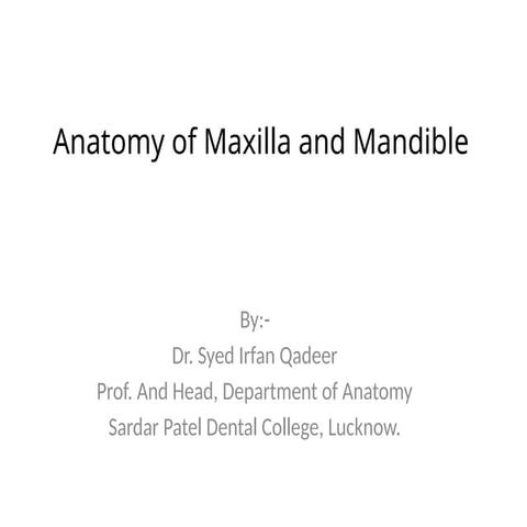 Anatomy of maxilla and mandible | PPTX