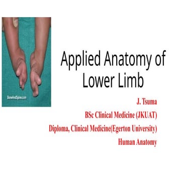 Applied Anatomy of the Lower Limb-JTM.pptx