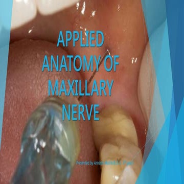 Applied anatomy of maxillary nerve | PPTX