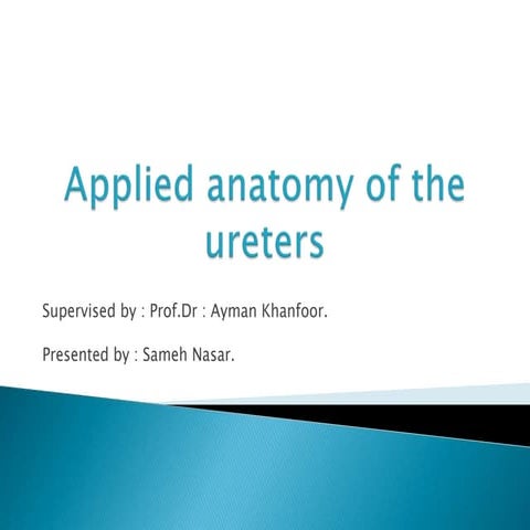 Anatomy of Ureter | PPTX