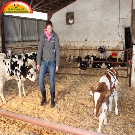 Applied Animal Management Guide. | PDF