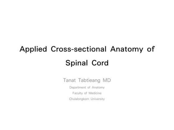 Atlas(C1) & Axis(C2) Vertebrae.pptx | Death, Injury, or Military Conflict | Sensitive Topics