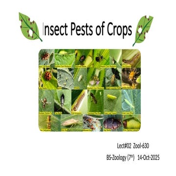 Insect pest and diseases of paddy and its management.pptx