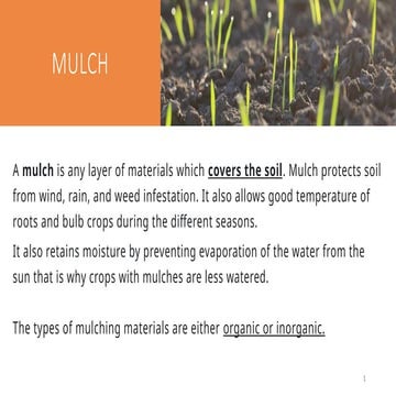APPLY FERTILIZER FOR PLANT CROP PRODUCTION.pptx