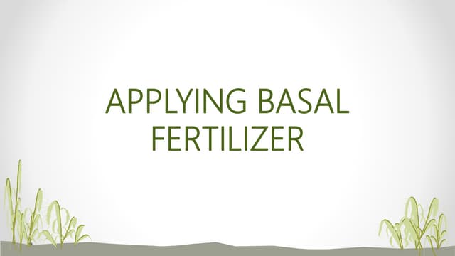 TRANSPLANTING OF VEGETABLE SEEDLINGS.pptx