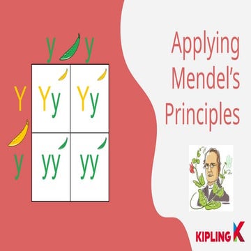 PPT PRESENTATION ABOUT APPLYING MENDEL'S PRINCIPLES.pptx