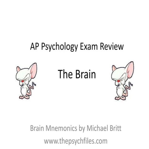 APP Review The Brain (1).pptx