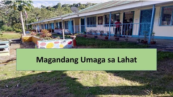 Community-Based Disaster and Risk Management Approach (CBDRRM.pptx