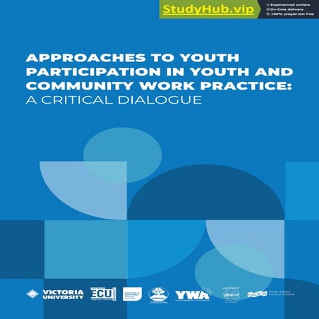 Approaches To Youth Participation In Youth And Community Work Practice ...