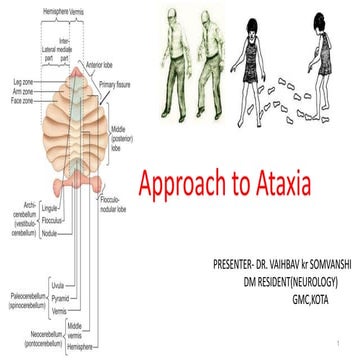 Approach to Ataxia | PPTX