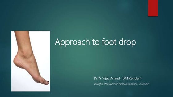 Common Referred Pain Patterns – Low Back | PDF