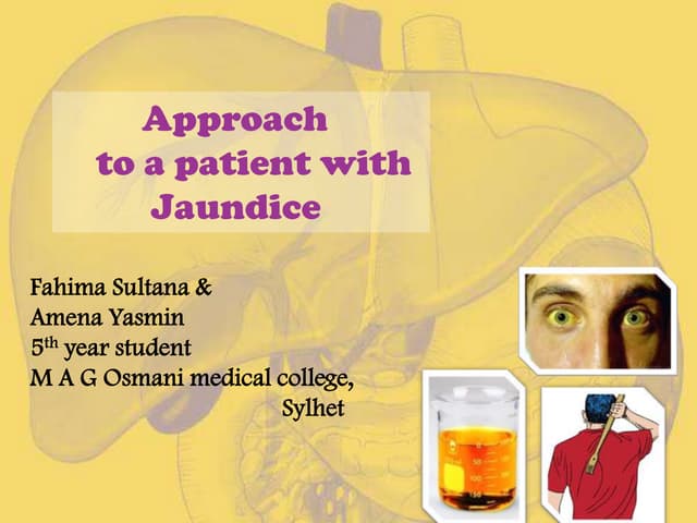 jaundice | PPTX