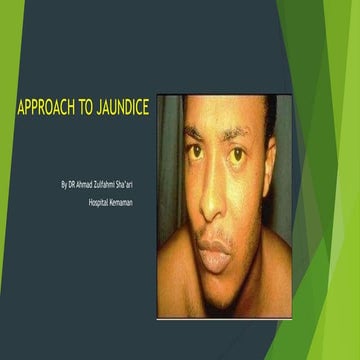 jaundice-(three types)- pre hepatic, hepatic , post hepatic | PDF