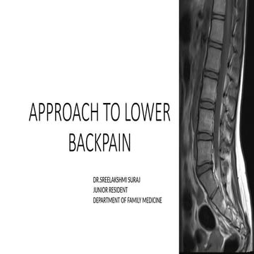 Lumbar spine physical examination in physiotherapy.pptx