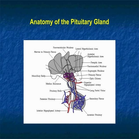 Approach to pitiutary diseases | PDF