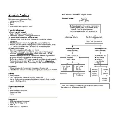 Approach to proteinuria Summary | PDF