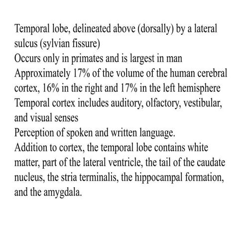 Approach to temporal lobe | PPTX