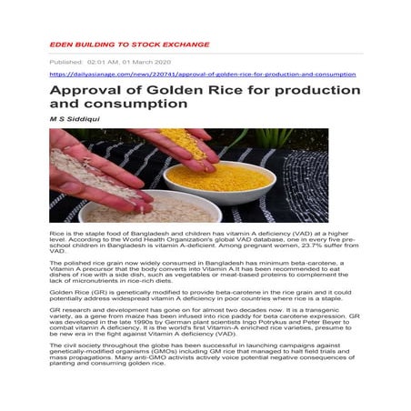 Golden rice paper | DOCX