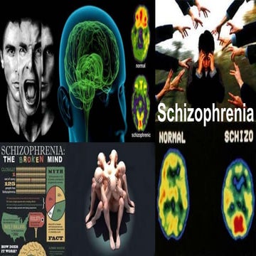 Schizophrenia Introduction | PDF
