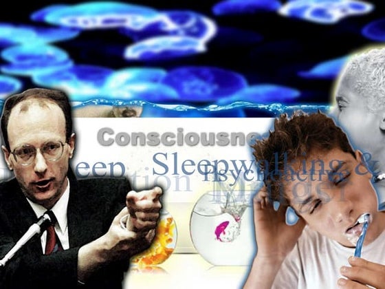 Why we sleep? Part1 | PDF