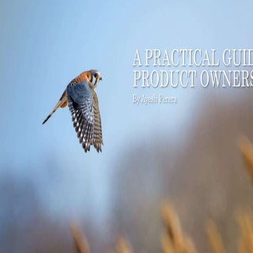 A Practical Guide For Product Ownershippptx Free Download