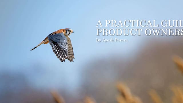 A Practical Guide For Product Ownershippptx Free Download