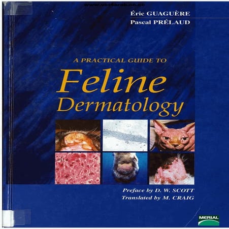 A practical guide_to_feline_dermatology | PDF