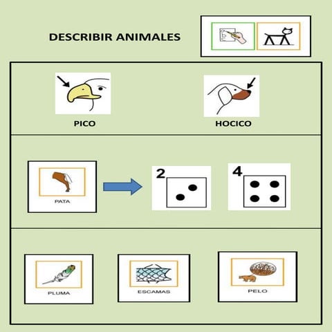 Aprendemos a-describir personas y animales | PPTX
