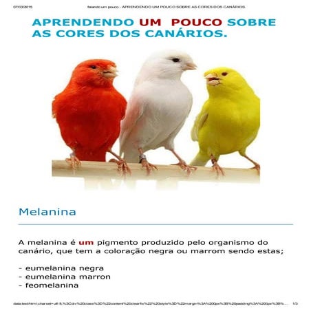 Aprendendo um pouco sobre as cores dos canários 1 | PDF