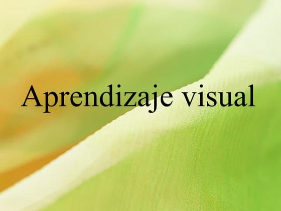Aprendizaje visual dlm | PPT