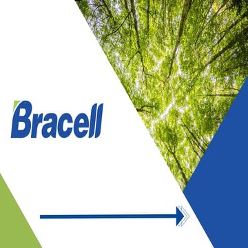 ApresentaAAo_Empresa_BRACELL_28_04_2024.pdf