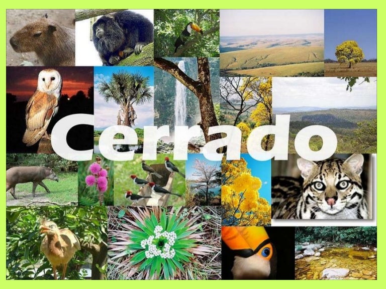 Cerrado