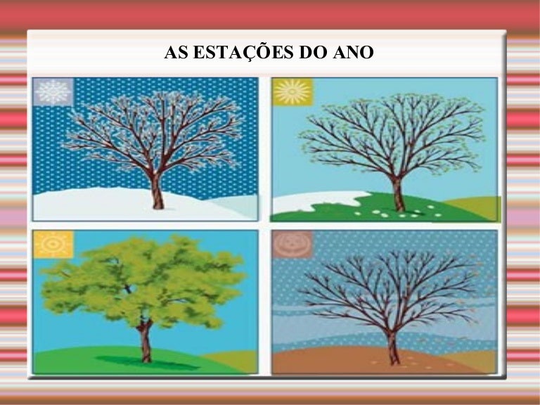 Estacoes Do Ano No Brasil