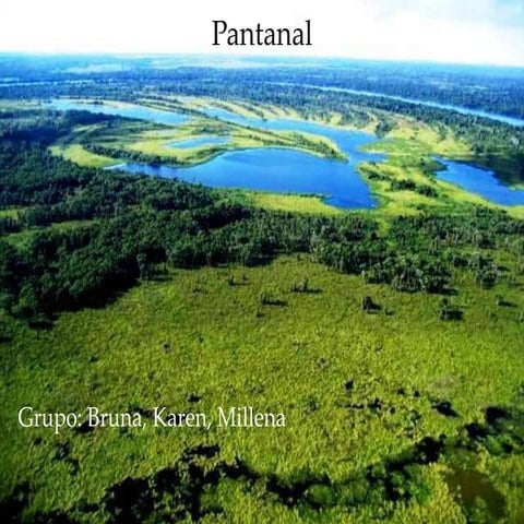 Pantanal | PPT