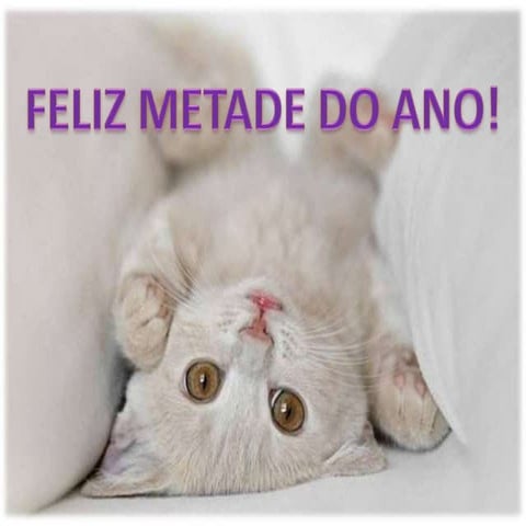 Feliz Metade do Ano! | PPTX