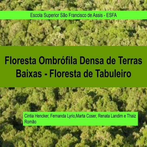 Apresentação floresta ombrofila densa de terras baixas | PPTX