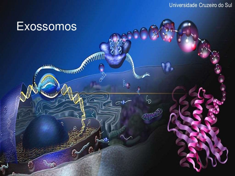 Exossomos