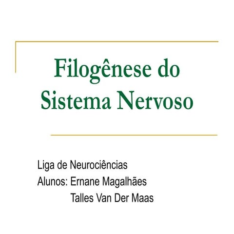 Filogenese do Sistema Nervoso | PPT