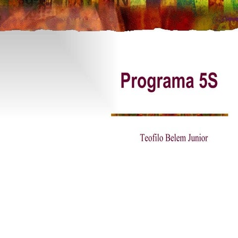 Treinamento 5S na pratica e na organização | PPTX