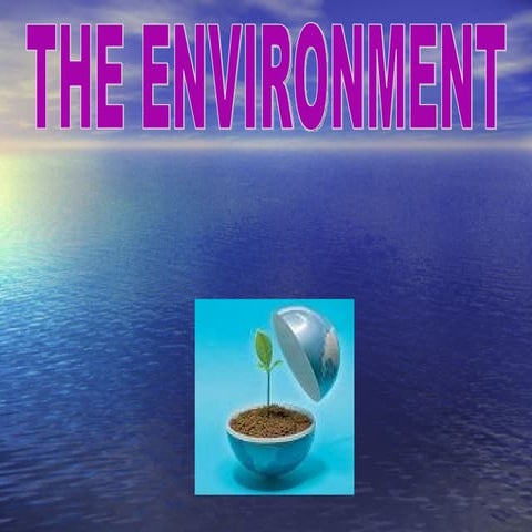 Apresentação environment | PPT
