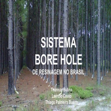 O SISTEMA BOREHOLE DE RESINAGEM - Thannar Bubna et al. Ed.01