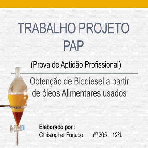 Modelo de relatório da Prova de Aptidão Profissional | DOC