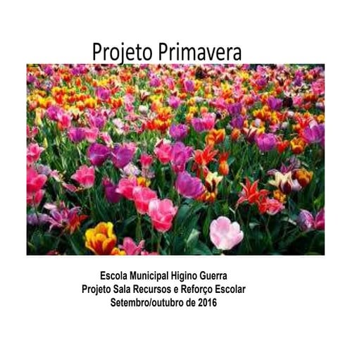 Apresentação Projeto Primavera | PPTX