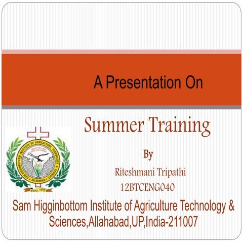 A presentation(12 btceng040) ON SUMMER INTERNSHIP from MNNIT | PPTX