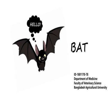 A presentation on Bat.pptx