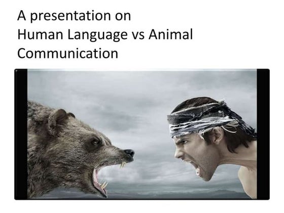 Human Language vs Animal Communication | PPT